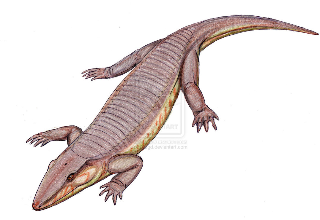 Los animales en la prehistoria: Animales prehistóricos con la letra C