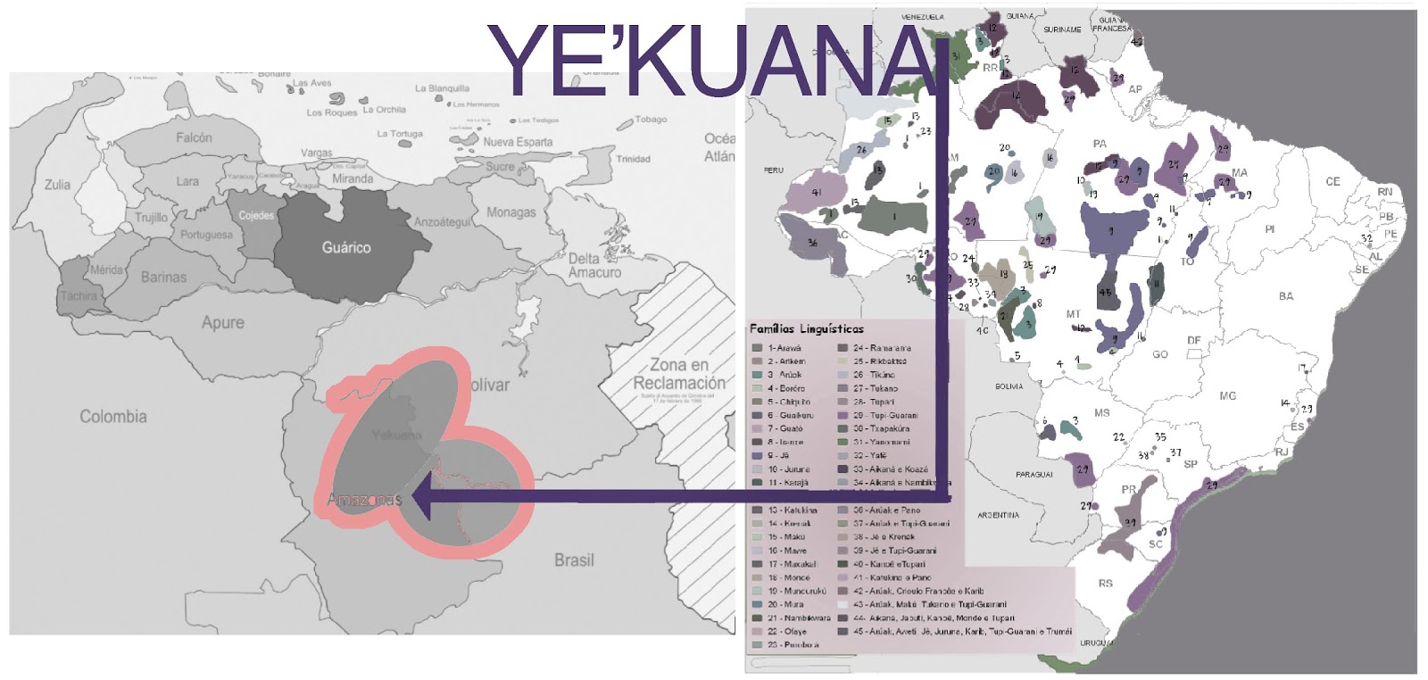 Povos Indígenas Brasileiros: Ye’kuana