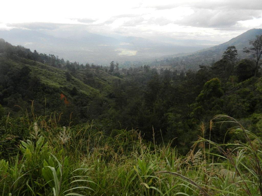 Malum Nalu: Postcards from Daulo Pass