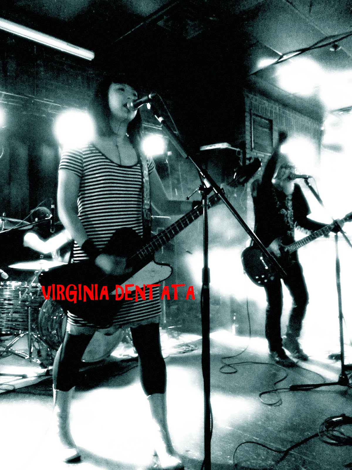 Spooky Franklin: HORROR HOOTENANNY INTERVIEW - Virginia Dentata