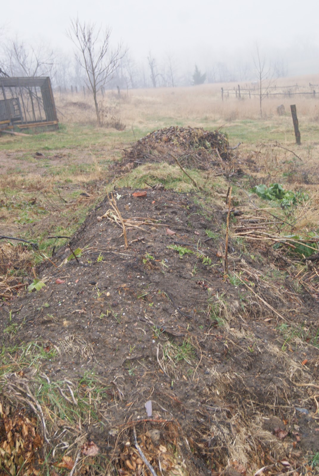 Ntoto (Earth) No Life Without Her!: Building Conuco Gardens- INDIGENOUS ...