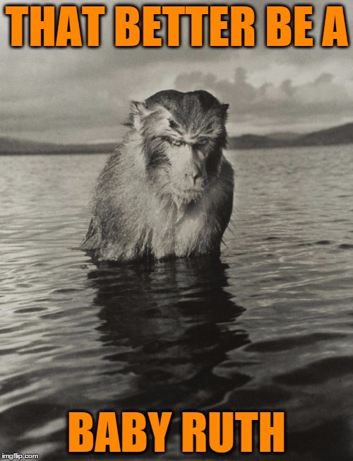 The PubScout: Is That a Baby Ruth in the Pool?