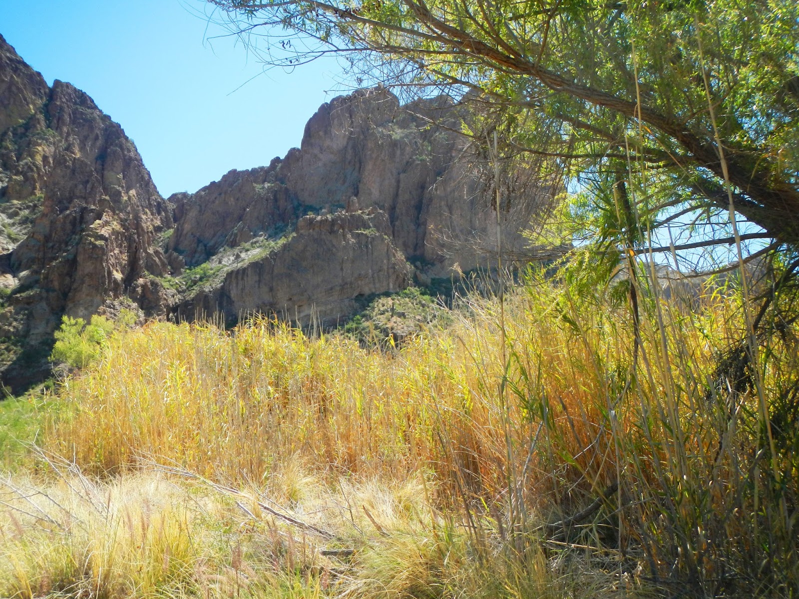 Ghost Hunting Theories: Sasquatch Trek In the Arizona Desert