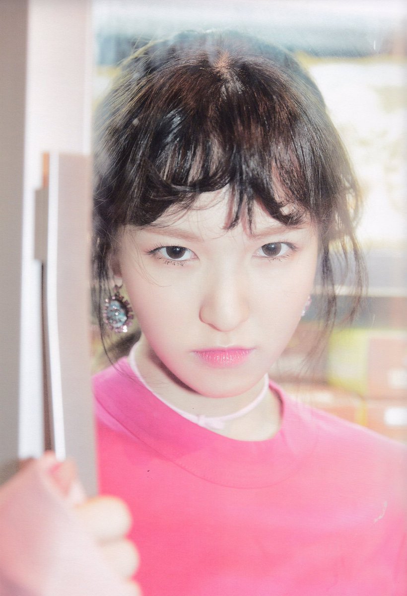 I Love Red Velvet : WENDY RV @ RED VELVET SEASON GREETINGS 2017