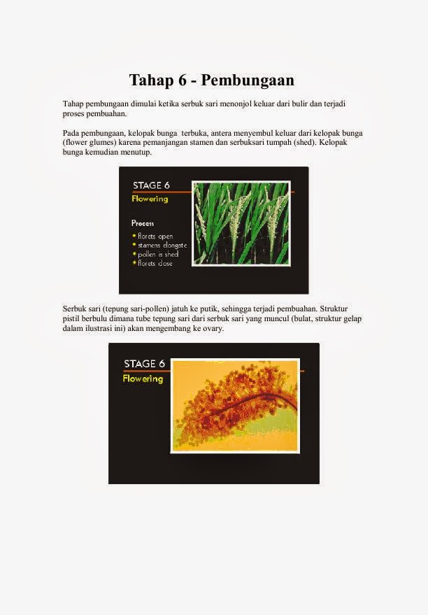 BALAI PENYULUHAN PERTANIAN KECAMATAN (BPK) KECAMATAN LENTENG KAB ...