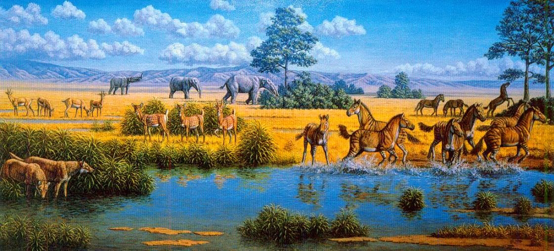 the natural world: sabana