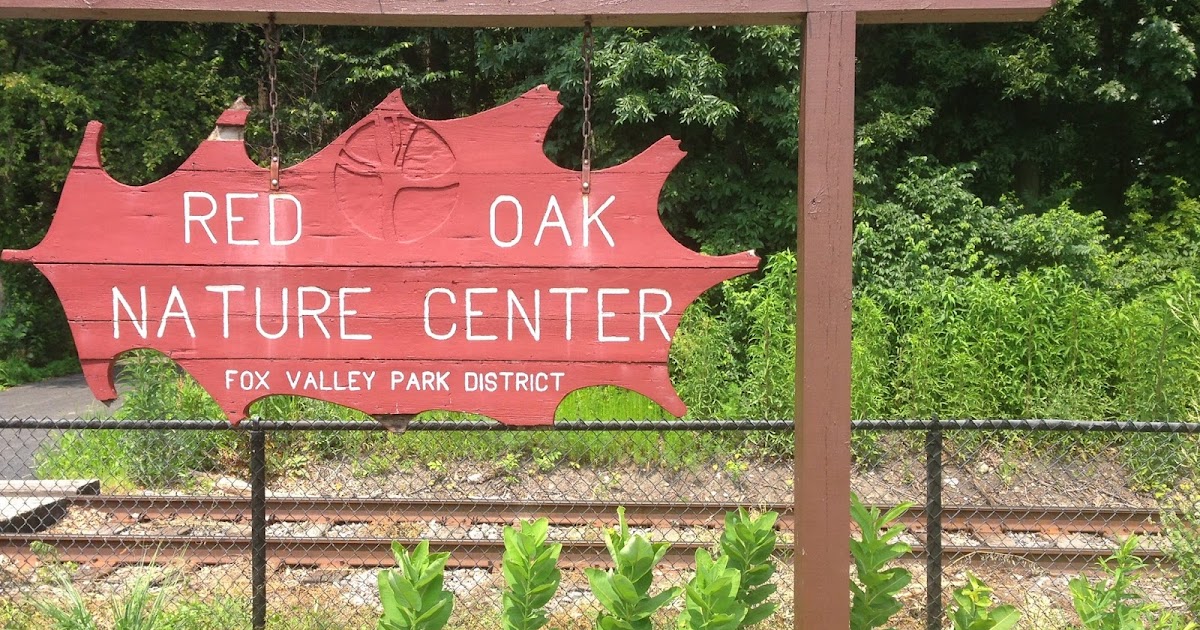 mom-mart-fun-free-in-illinois-red-oak-nature-center