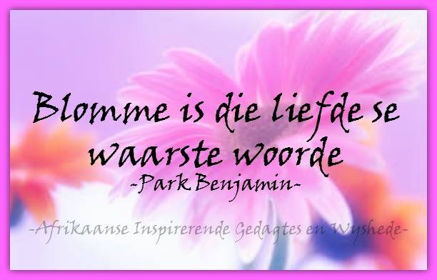 Ons Huis Kimberley: Blomme is woorde van liefde...