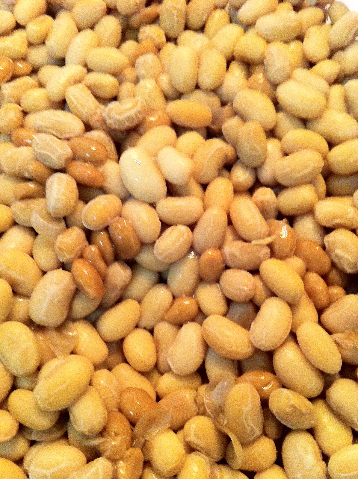 PJ Maki NYC @ Hell's Kitchen: PROPER & STICKY. Natto, Super Living Food ...