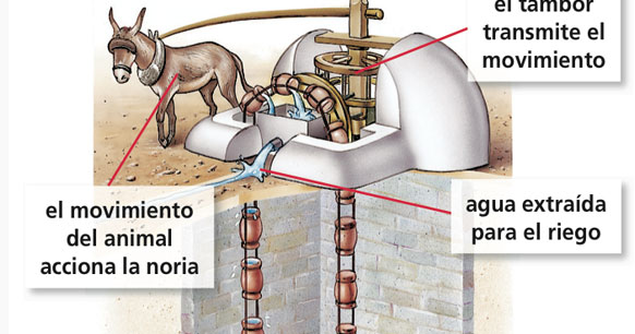 2_2. EL ISLAM: LA NORIA Y EL REGADÍO. EL OLIVAR.