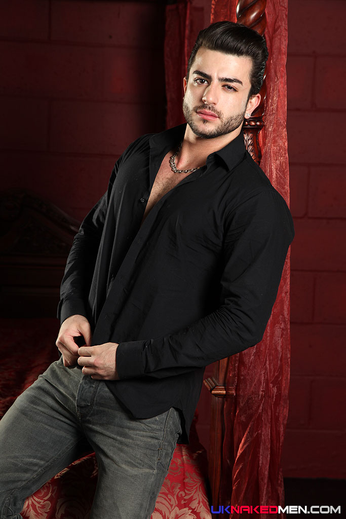 GATOS OUSADOS: HARRY LOUIS