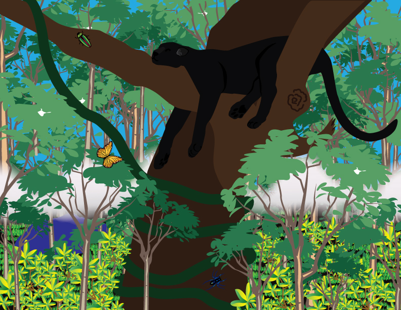 My Photoshop and Illustrator Blog: Illustrator Assignment #1 ...