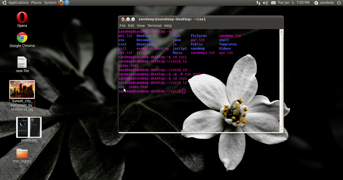 cp Command In Linux Unix It s All About Linux