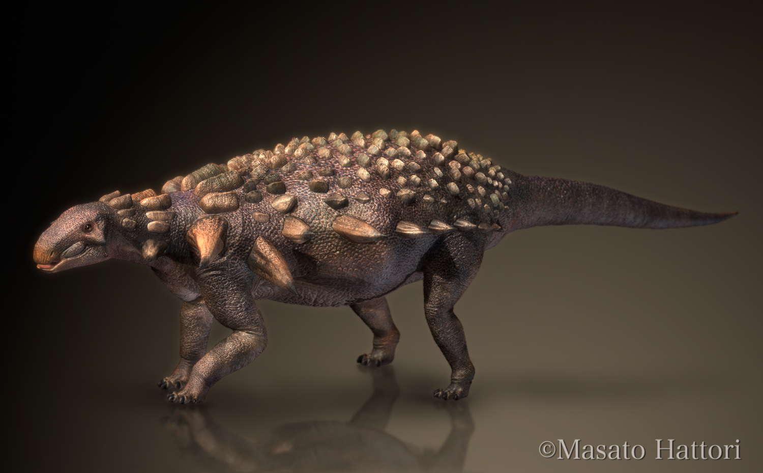 Marchan Blog: エドモントニア Edmontonia