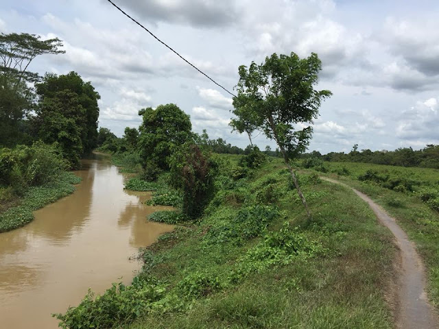 MENGENAL MARGAHAYU - DESA WISATA POTENSIAL DI LAMPUNG TIMUR ~ DUNIAINDRA