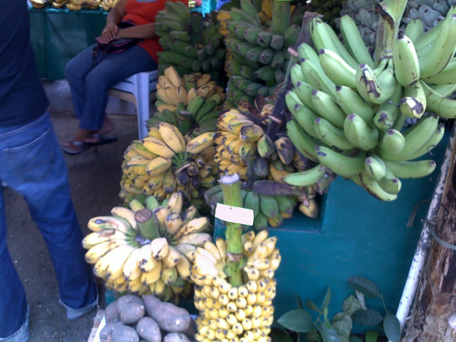 ONLINE FREEDOM: Travel: Cebu and the Philippines