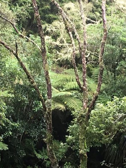 Mission To The Land of The Long White Cloud: Omeru Falls with the ...