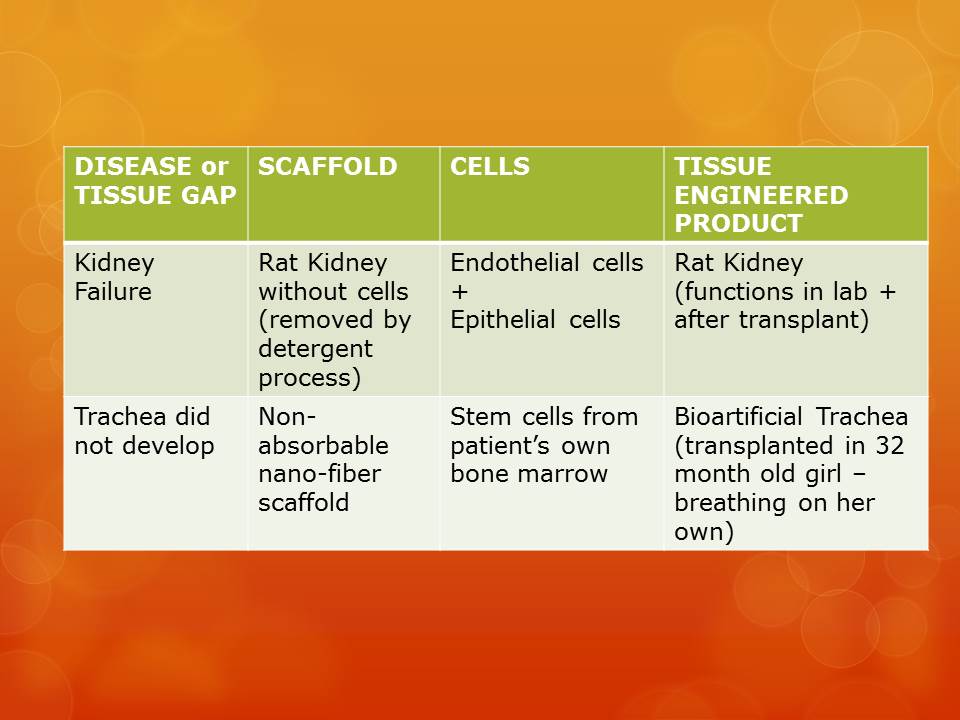 What's Hot / What's New: TISSUE ENGINEERED KIDNEYS + TRACHEA ARE NEW ON ...