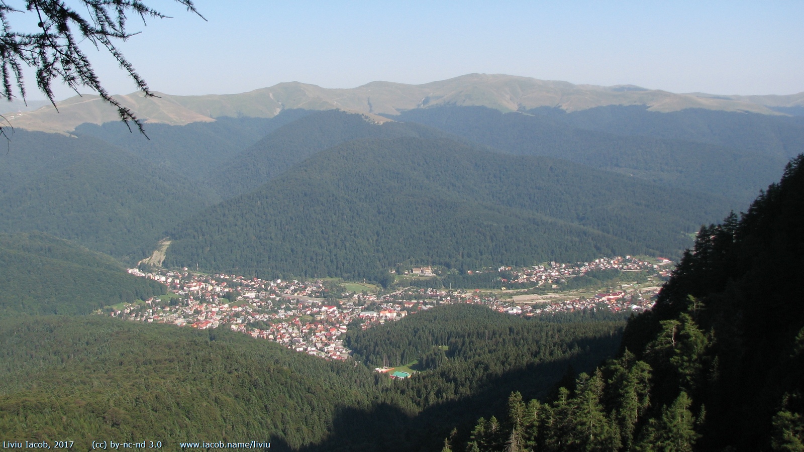 Traseu in Muntii Bucegi: Caminul Alpin (Busteni) - Poiana "La Verdeata ...