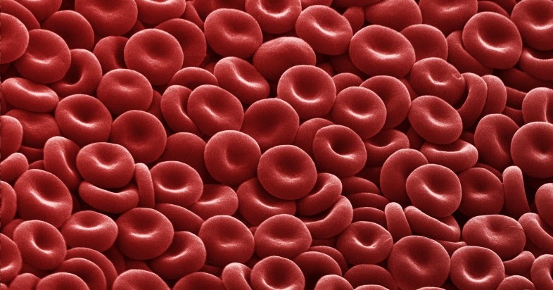 Science on Main: Blood Colors