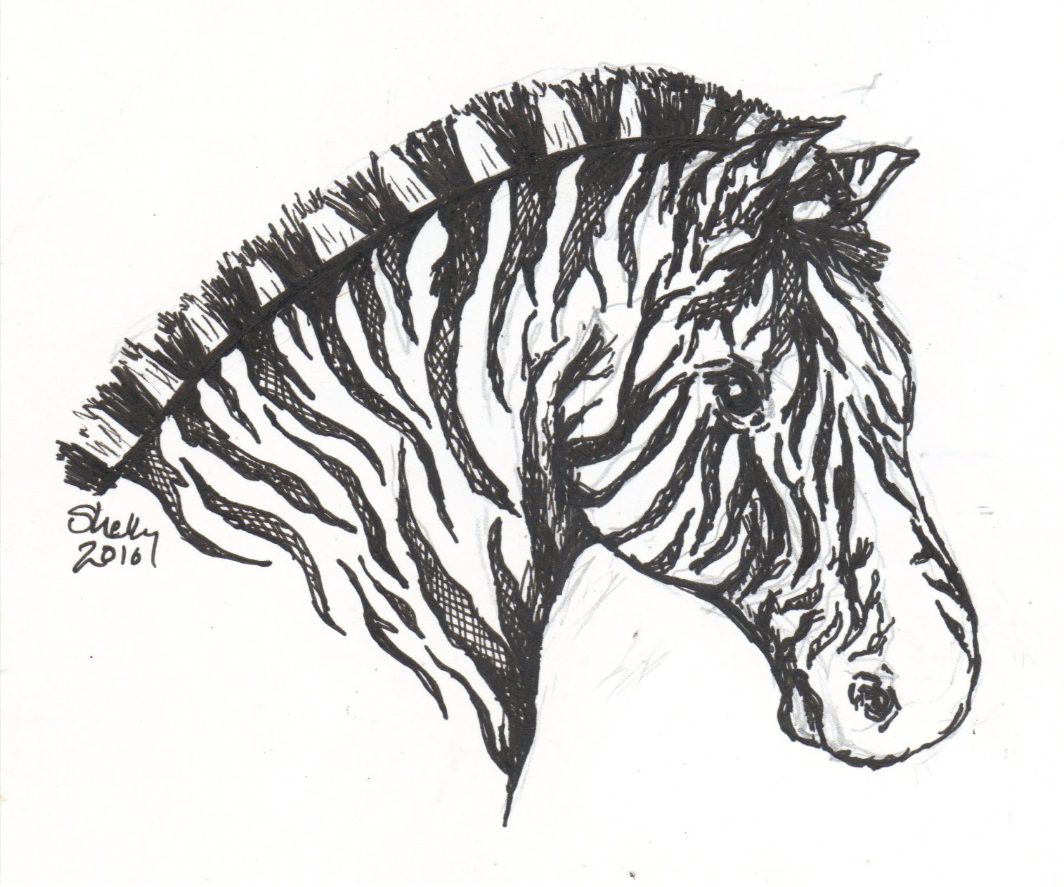 Zenology Design: zebra tangle