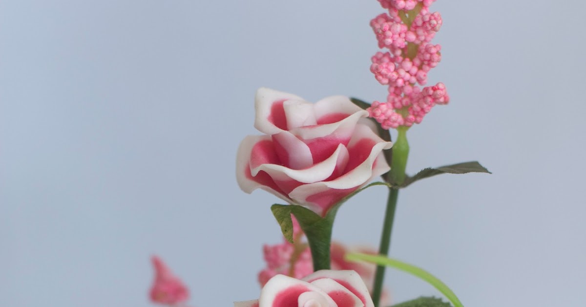 Baru 40+ Bunga Mawar Variasi, Gambar Bunga