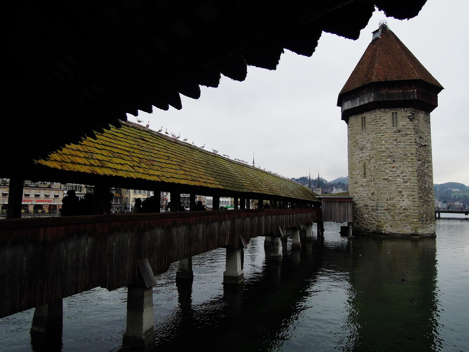 Lucerna a Natale ovvero di luci e profumo di cannella | My Scratch Map ...