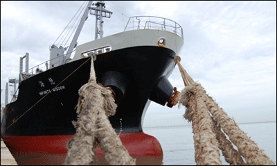 Radar Logístico: 4. O Papel do Armador Marítimo