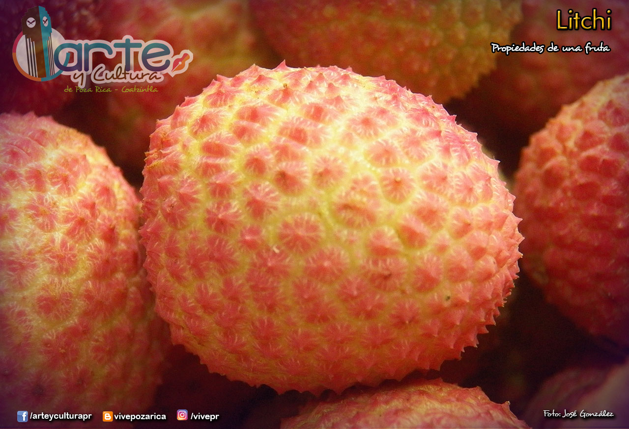 Gaceta de Poza Rica y Coatzintla: ¿Qué es el lichi o lychee?