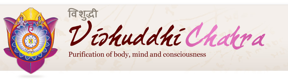 Vishuddhi Chakra | Chakra Healers