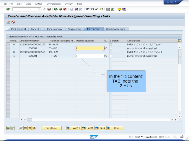 青蛙SAP分享 Froggy's SAP sharing: HUM - HU02 Packing Dialog with Weight ...