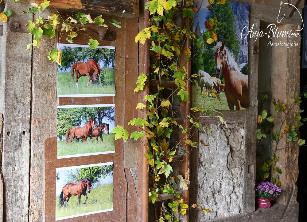 schreiben und fotografieren: RoKuKu - Roßwälder Kunst- und Kulturnacht