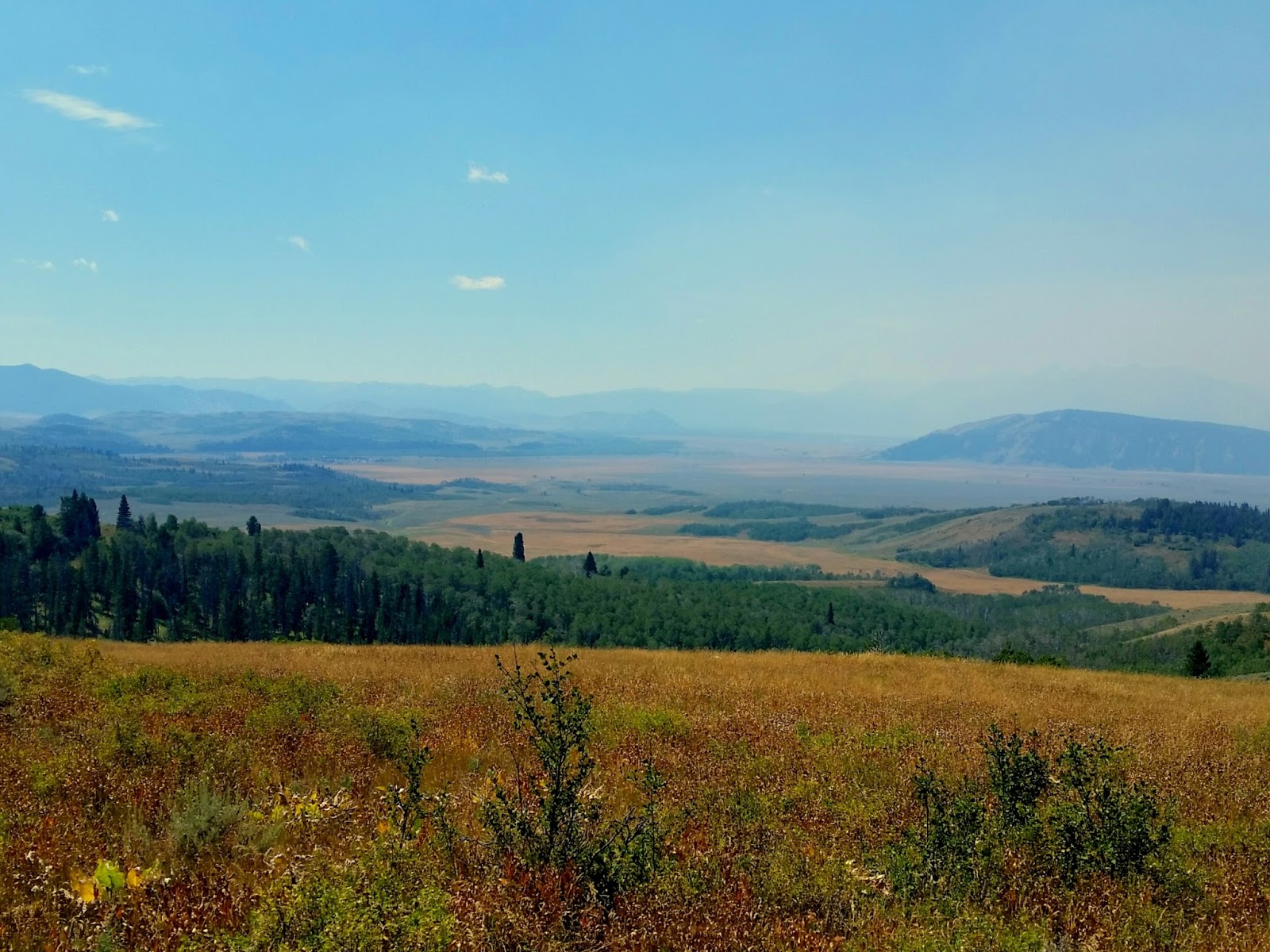 A Wyoming dude ranch adventure...: Yurts and an all day horseback ride ...