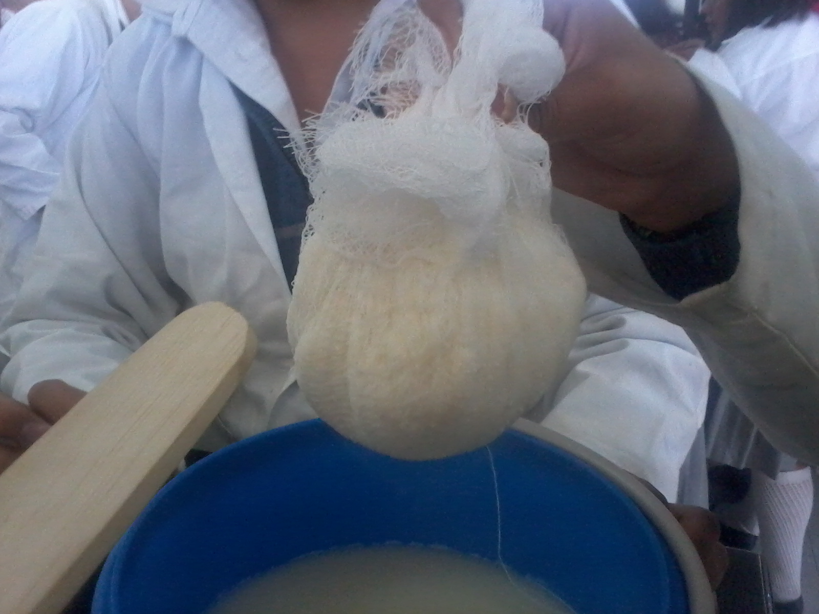 Quimica1 Elaboracion De Queso Casero