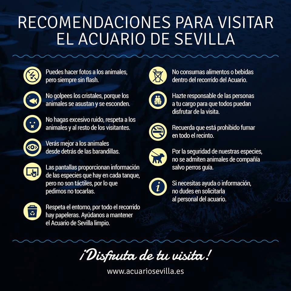 La ventana de mi clase: ¿Vas a visitar el acuario?