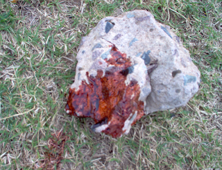 Planetransgender: Bloody Rock: Brazilian Trans Woman Stoned To Death