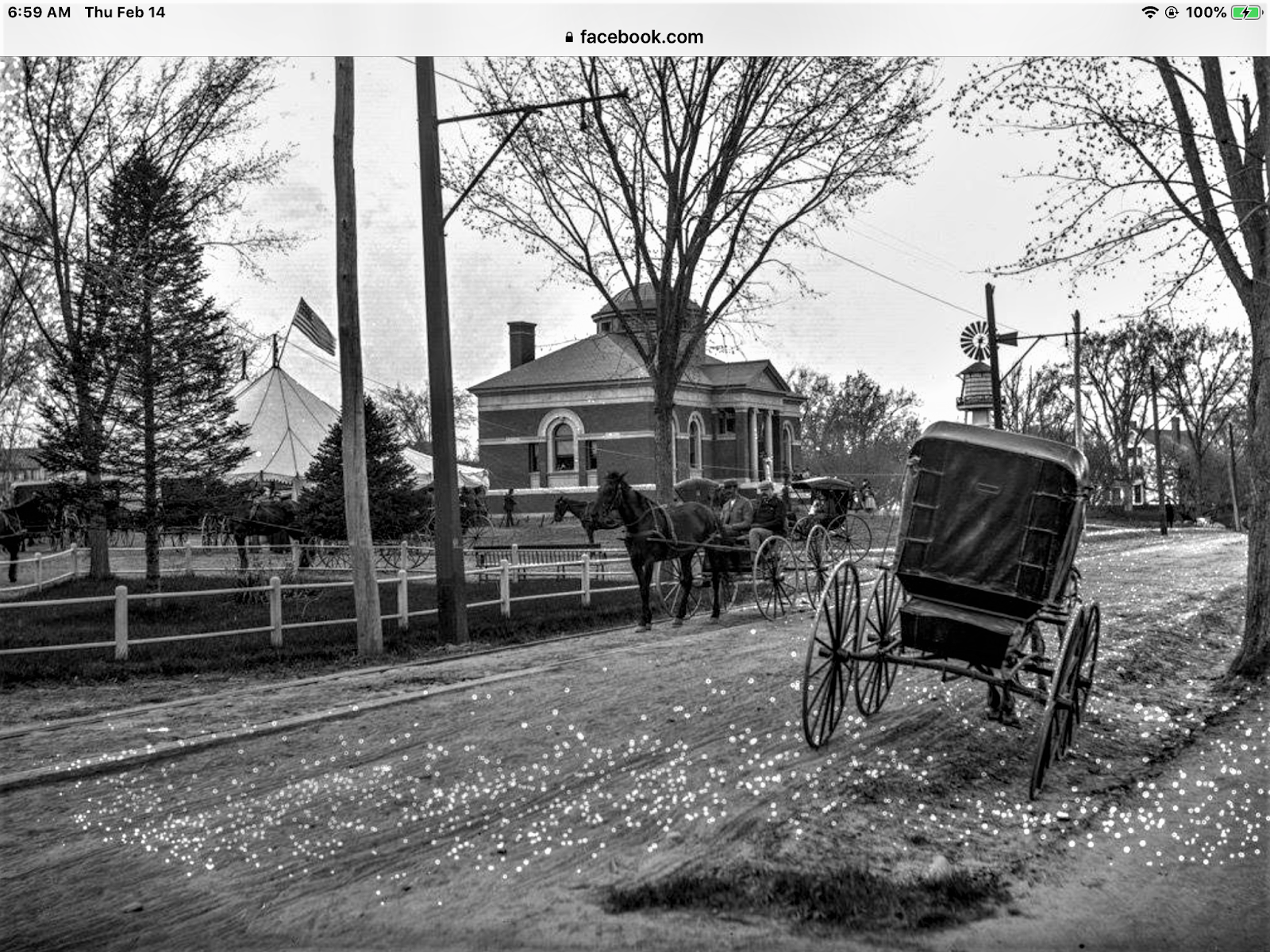 Life From The Roots: Adams Library, Chelmsford, Massachusetts ...