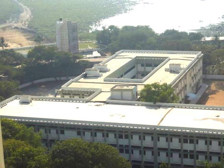 True Nature: K.V. NO. 3 COLABA MUMBAI