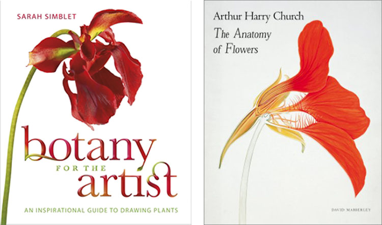 CLARE MITTEN: Research/Studio Visit: Sarah Simblet