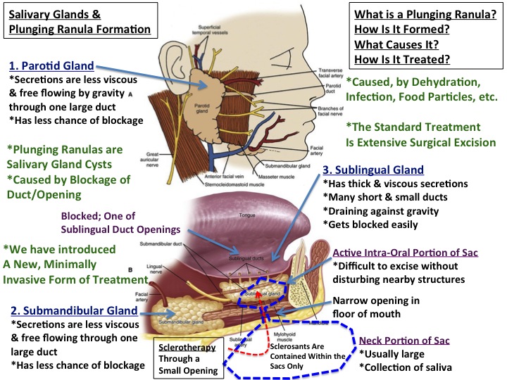Plastic, Reconstructive & Cosmetic Surgery - Vital Aesthetic Surgical ...