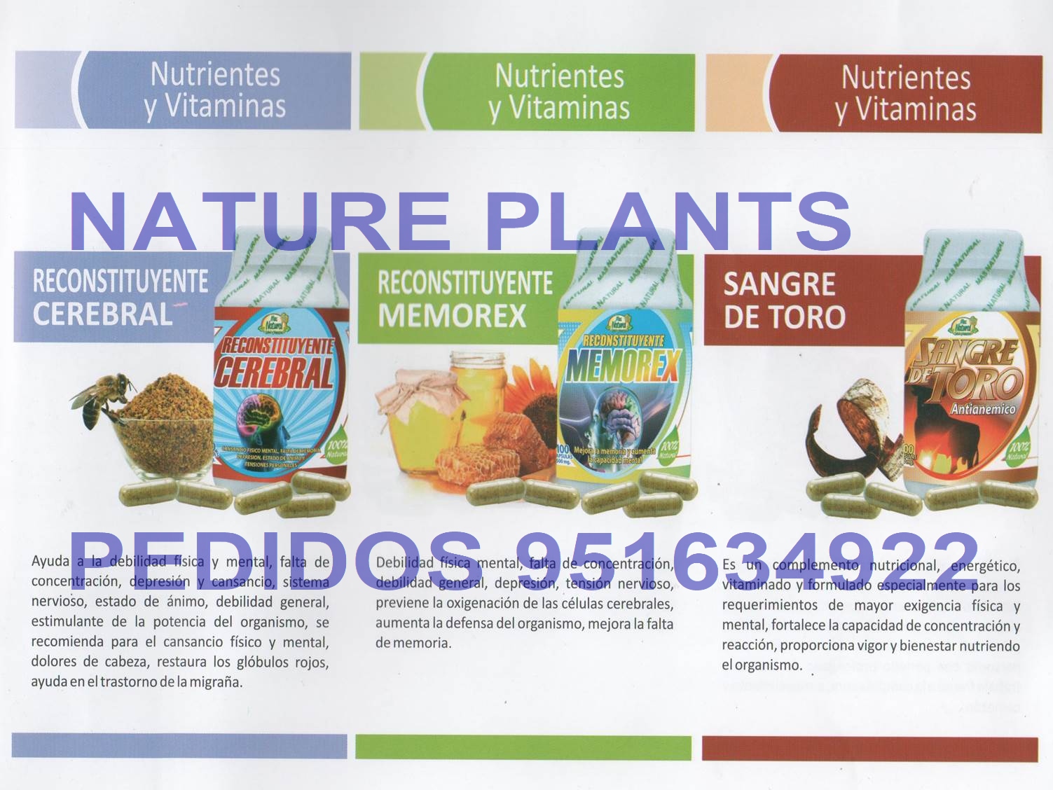 MAS NATURAL CATALOGO CAPSULAS