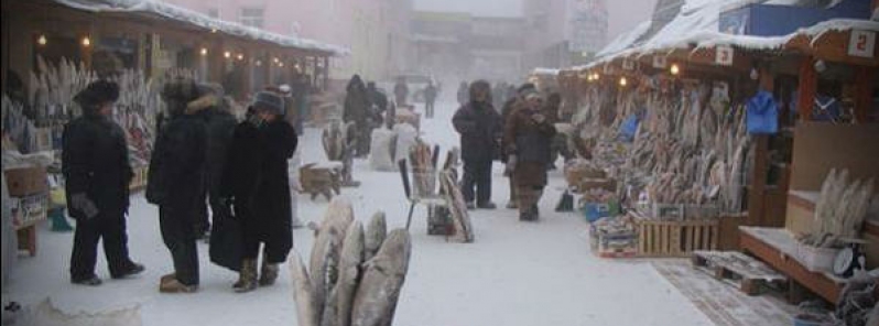 kimera: Zyryanka, Rusia.