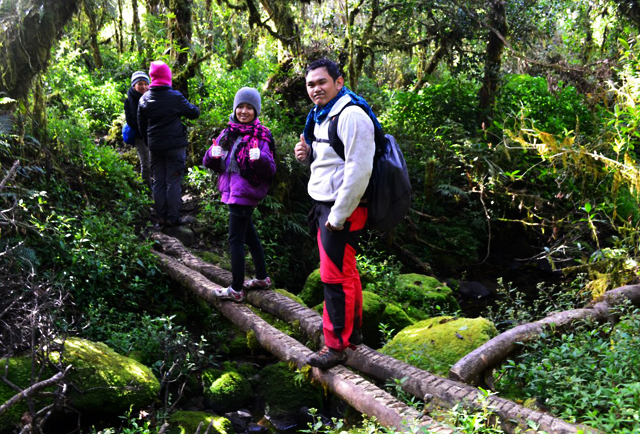 Mt Timbak and Mt Tabayoc of Benguet ~ Geejay Travel Log