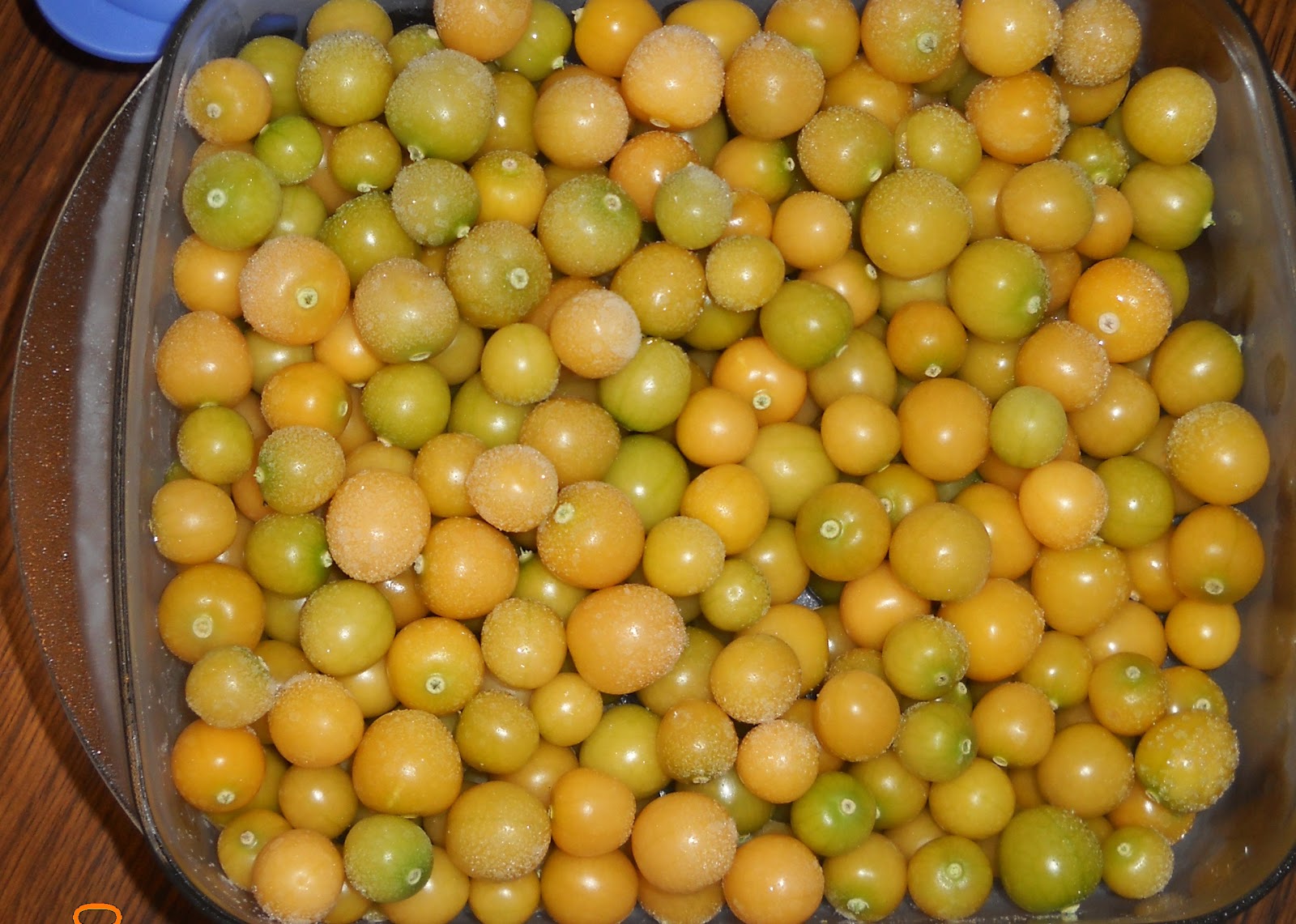 More Than Today: Ground Cherries