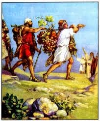 Billy Wardle family blog: Sunday School: Old Testament: Caleb