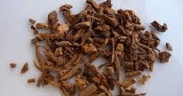 RADIX FARMAKOGNOSI: Valerianae Radix