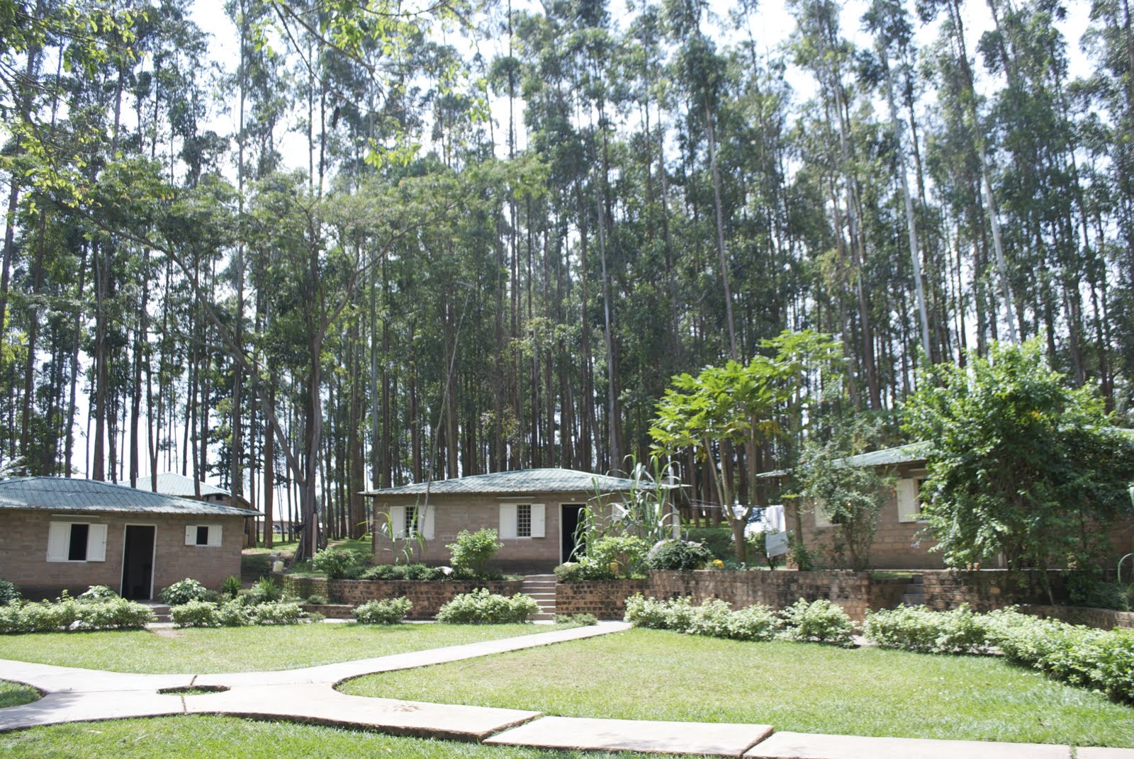 Hello from Watoto!: Watoto Children's Villages