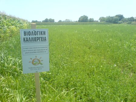 ΝΕΑ ΤΗΣ ΣΙΘΩΝΙΑΣ: .Όλη Η Προκήρυξη Για Την Βιολογική Γεωργία Και ...