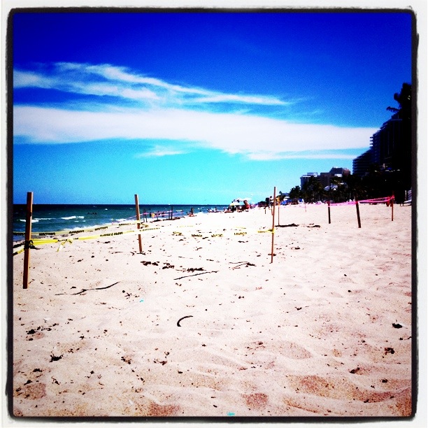 A Musing to Create: beach time