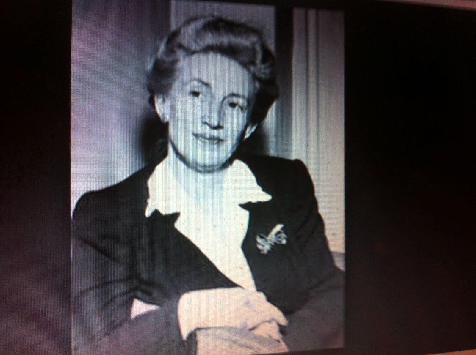 THE BLACK SOCIAL HISTORY:: BLACK SOCIAL HISTORY : AMERICAN " VIOLA ...